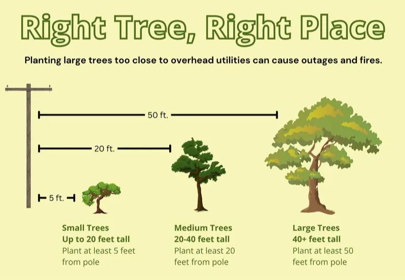 TreeFolks